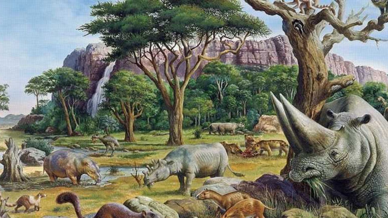 Senozoik nedir? Senozoik zamanın özellikleri nelerdir? - Habervakti ...