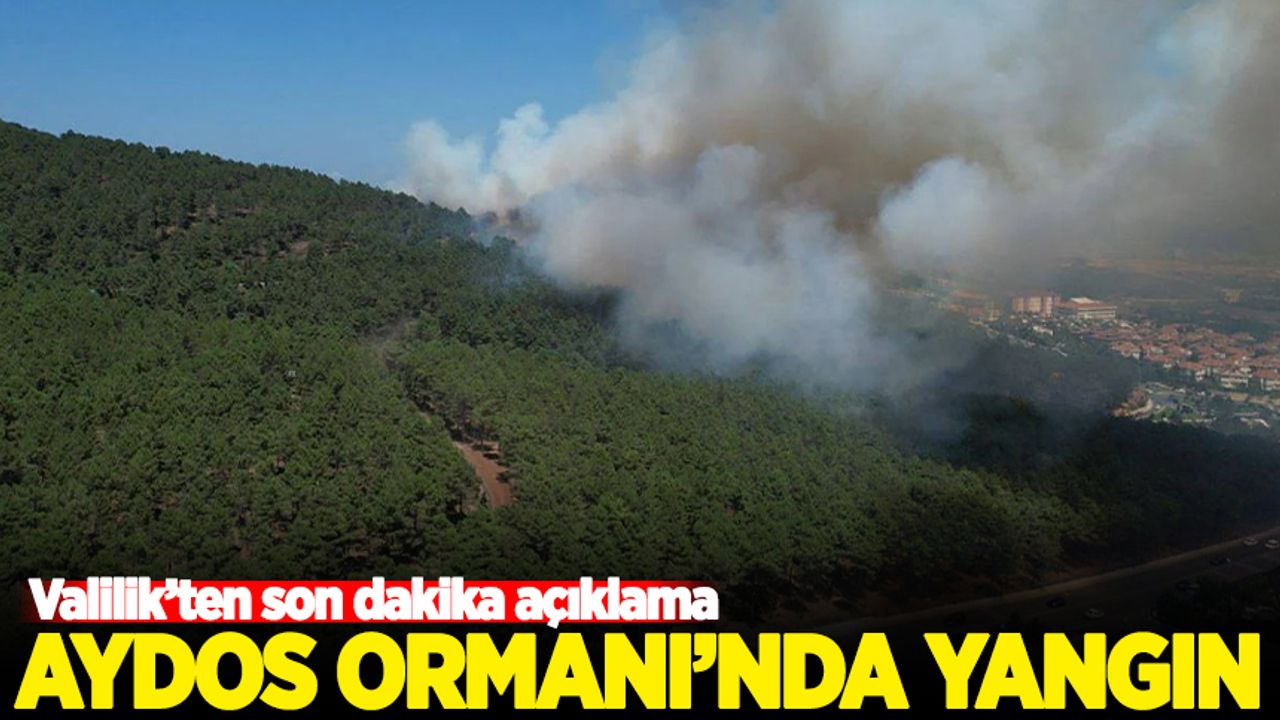 Aydos Ormanı’nda yangın! Dumanlar gökyüzünü kapladı - Habervakti, son ...