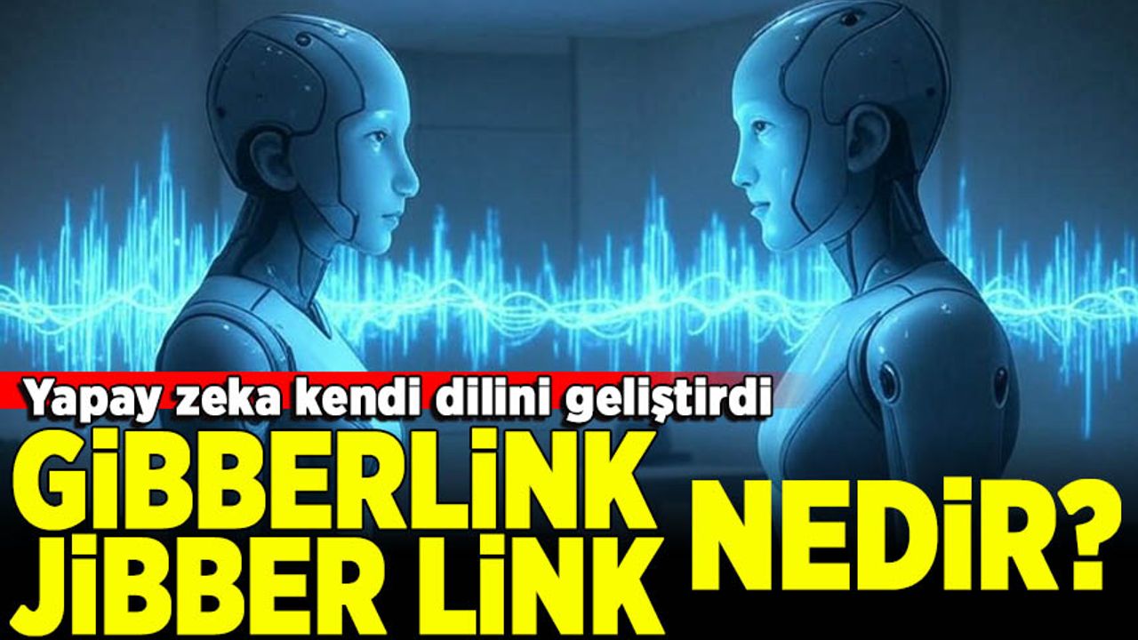 Gibber Link, Jibber Link nedir? Yapay Zeka'nın gizli dili mi var ...