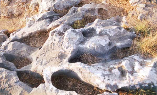 Lapya nedir? Özellikleri nelerdir? - Habervakti, son dakika haber ...