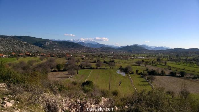 Polye nedir? Özellikleri nelerdir? - Habervakti, son dakika haber ...