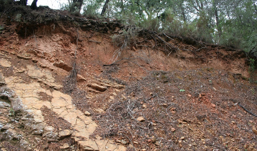 Litosol toprak nedir? Özellikleri nelerdir? - Habervakti, son dakika ...