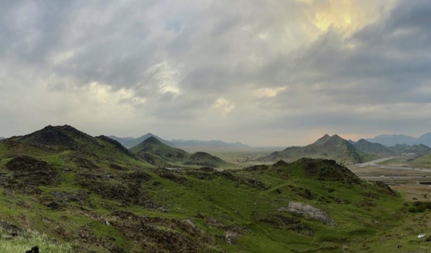 Suudi Arabistan'daki şiddetli yağışların ardından Mekke yeşile büründü ...