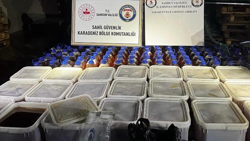 Karadeniz'deki balıkçı teknesinde 1 ton 240 kilogram kaçak bal ele ...